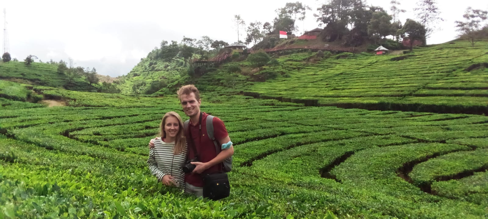 Bandung Tea Plantation - Bandung Driver